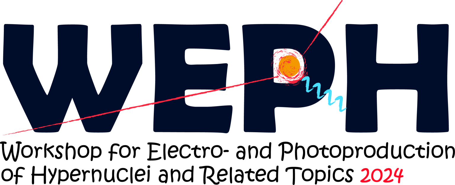 国際ワークショップ WEPH RE:2024 において、江端、後神が口頭発表を行いました (Ebata and Gogami gave ...